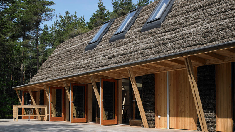 Architectural seaweed