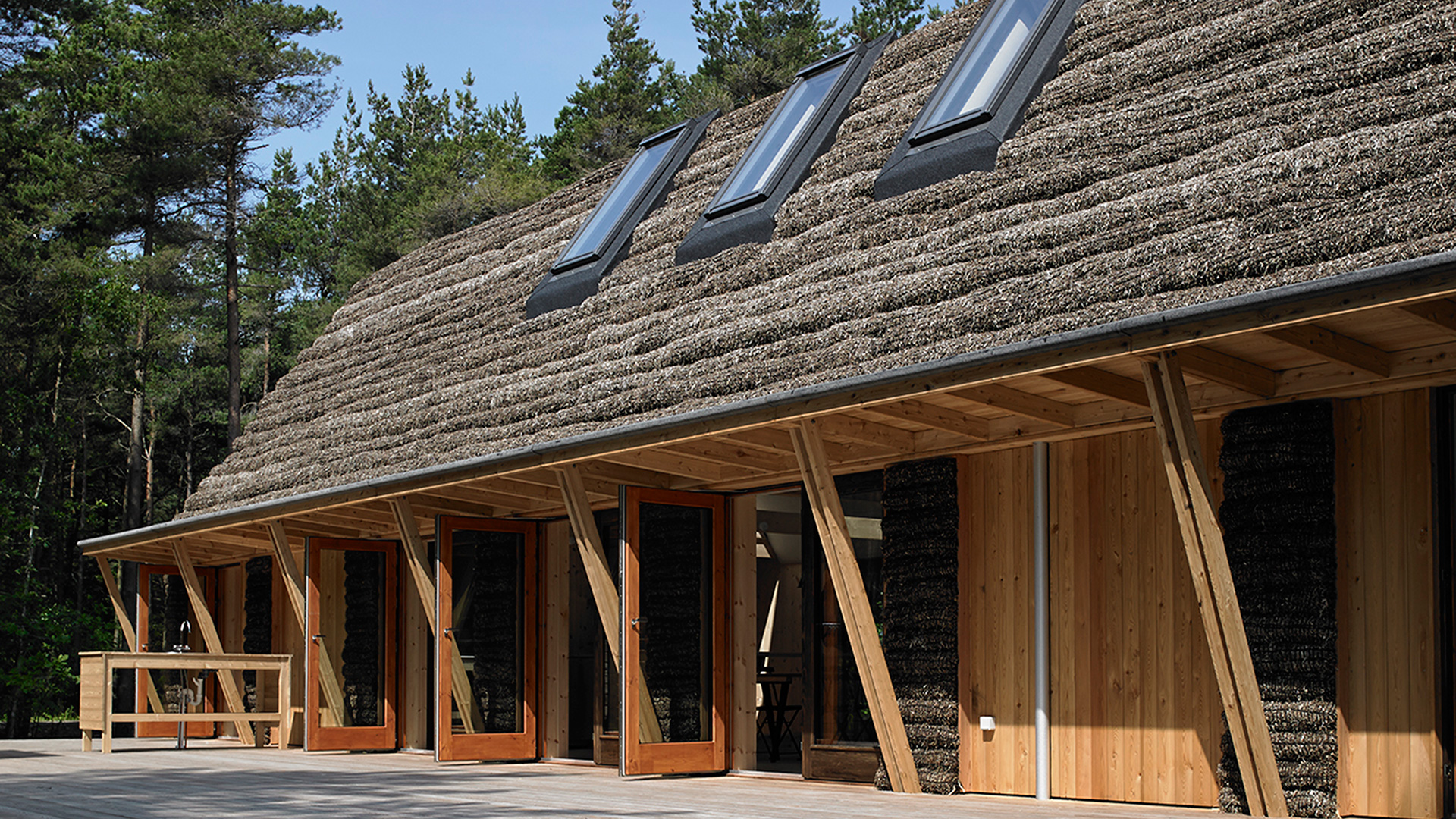 Architectural seaweed