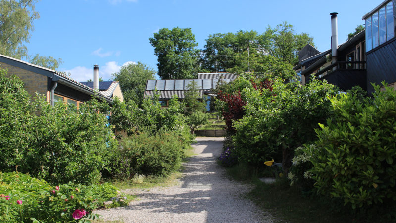 Bofællesskab og byggefællesskab tegnet af Tegnestuen Vandkunsten