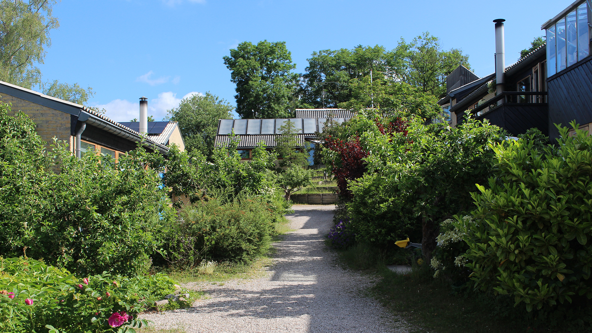 Bofællesskab og byggefællesskab tegnet af Tegnestuen Vandkunsten