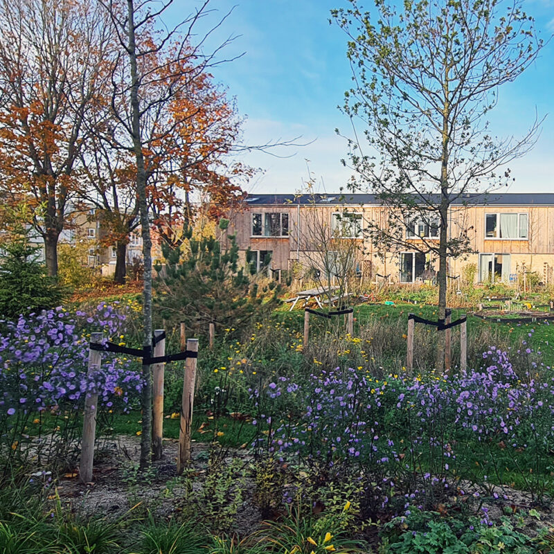 Tingbjerhuse i Tingbjerg