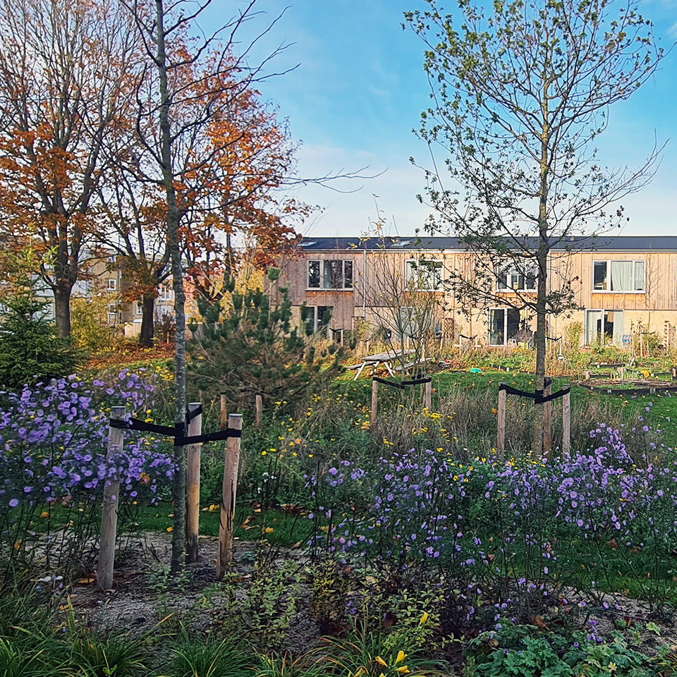 Tingbjerhuse i Tingbjerg