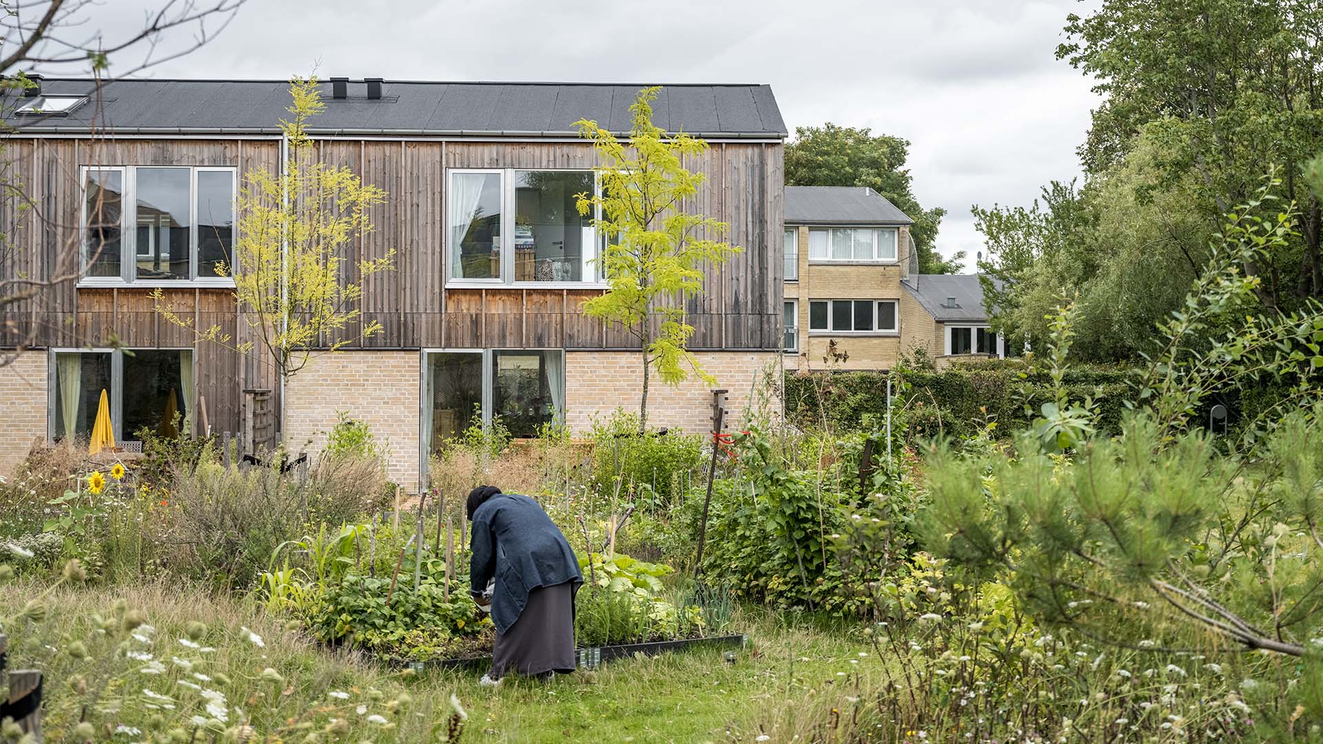 Hædrende omtale til Tingbjerghuse